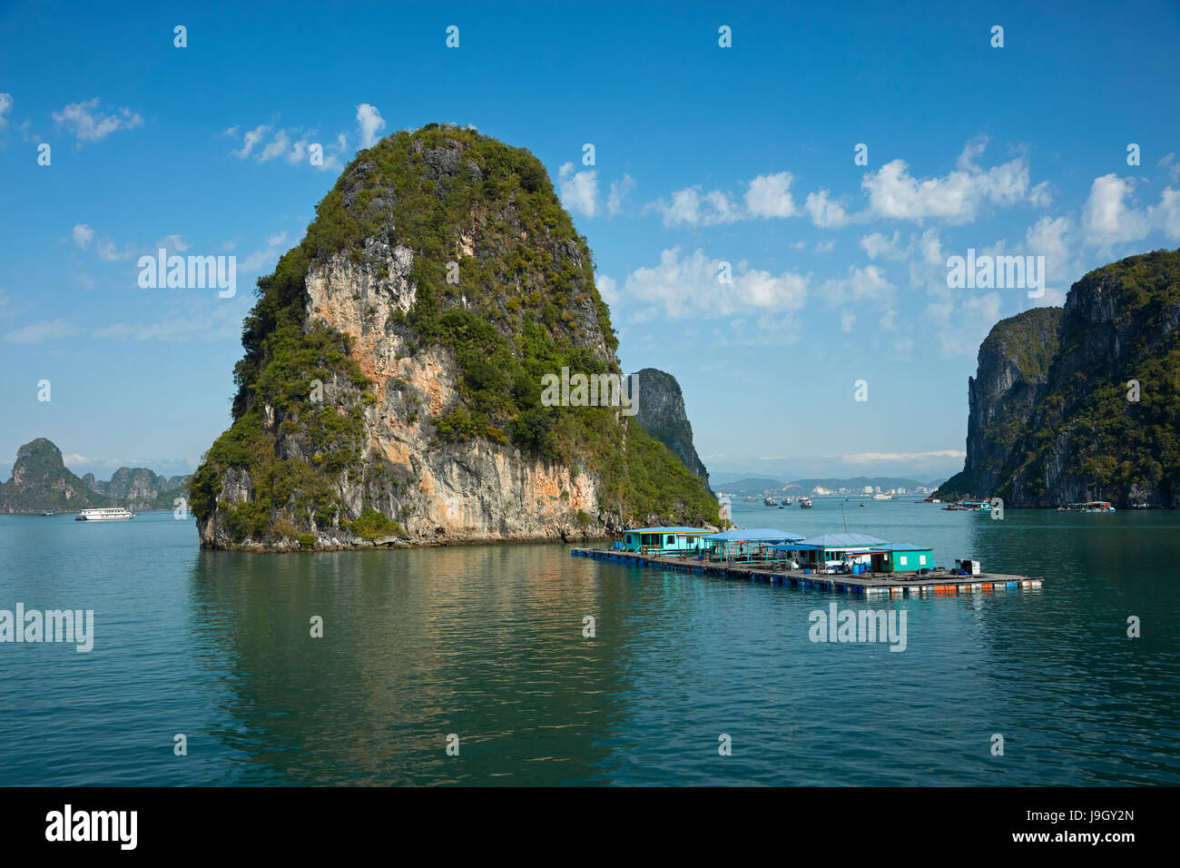 Floating shops and limestone karsts, Ha Long Bay (UNESCO World Heritage ...
