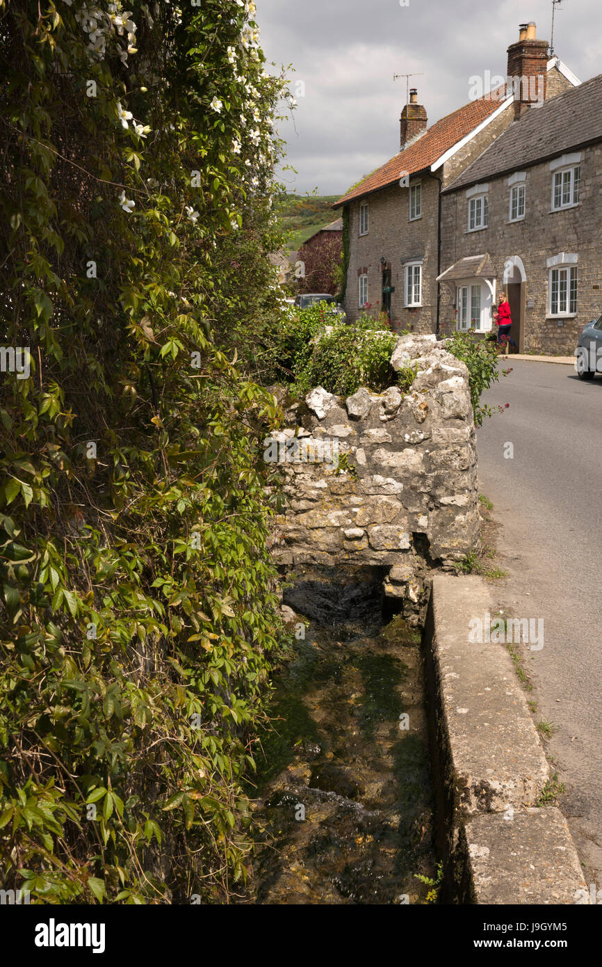 UK England, Dorset, Portesham, stream running beside Front Street Stock ...