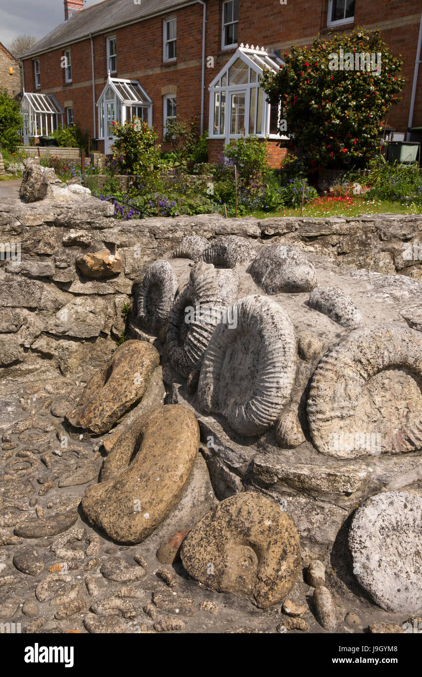 The jurassic coast fossils house hi-res stock photography and images ...