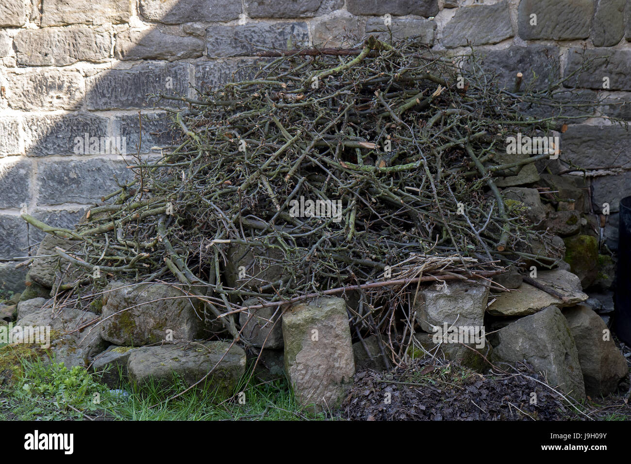 Heap of wood trash on a garden. Stack of firewood beside sandstone wall ...