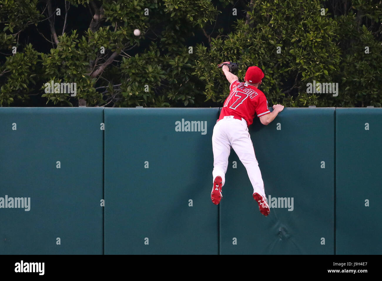 Anaheim, California, USA. 1st Jun, 2017. Los Angeles Angels center ...
