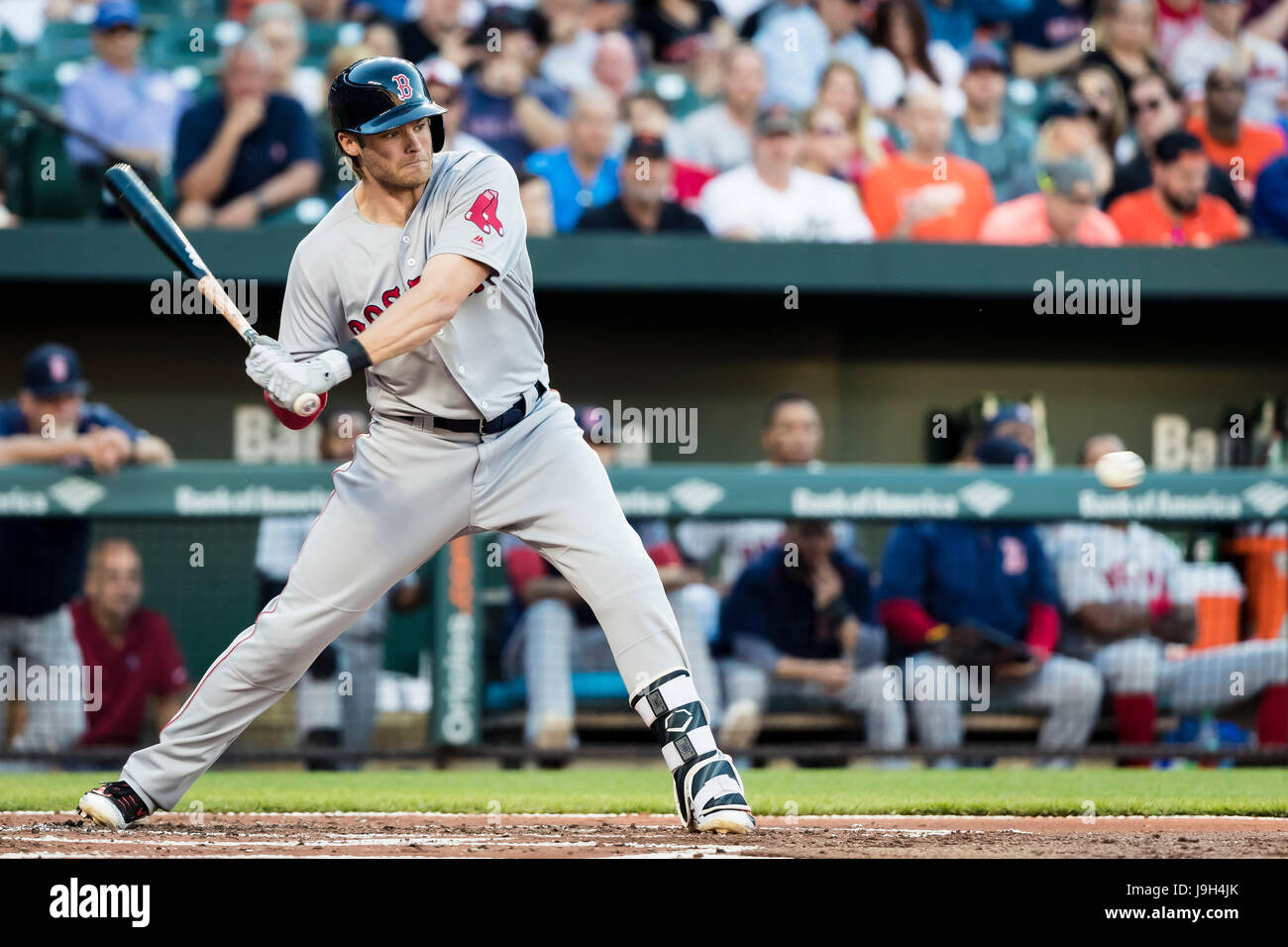 Baltimore, Maryland, USA. 01st June, 2017. Boston Red Sox second ...