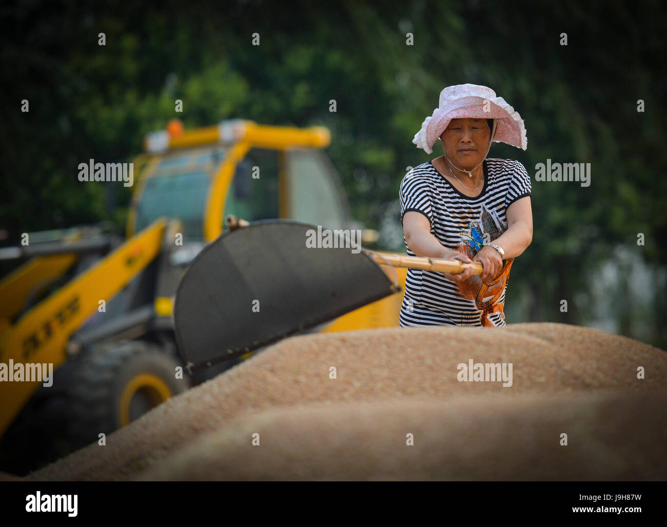 Taizhou, China's Jiangsu Province. 1st June, 2017. Farmer Liu Liangbao ...