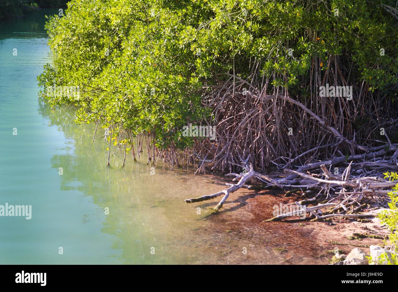 beautiful, beauteously, nice, environment, enviroment, park, american ...