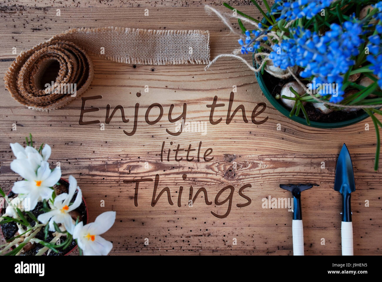 Spring things hi-res stock photography and images - Alamy