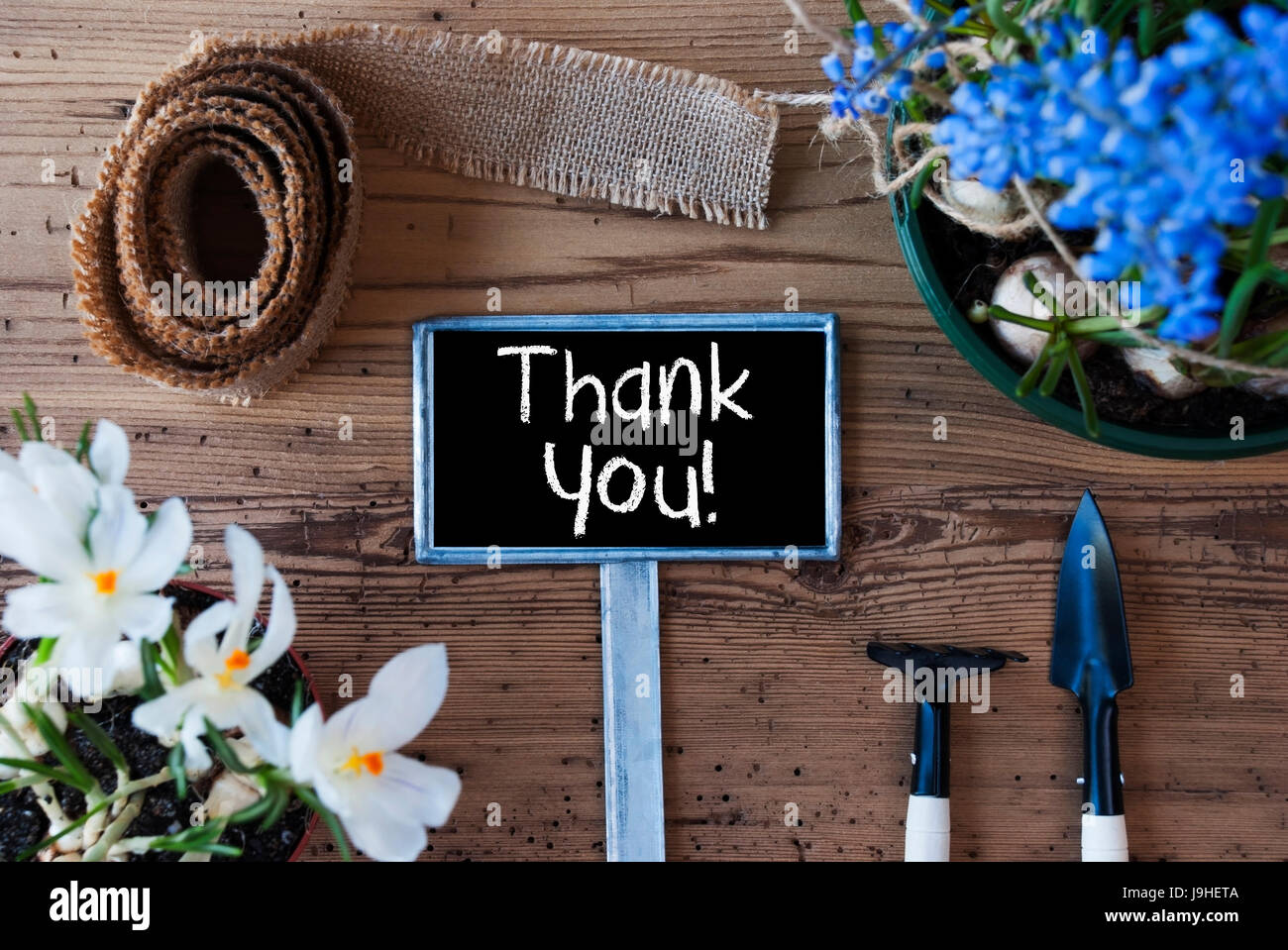 Spring Flowers, Sign, Text Thank You Stock Photo - Alamy