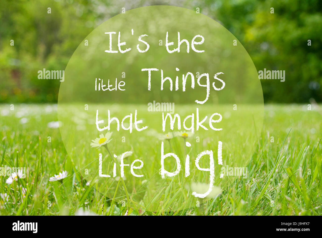 Little things big things grow hi-res stock photography and images - Alamy