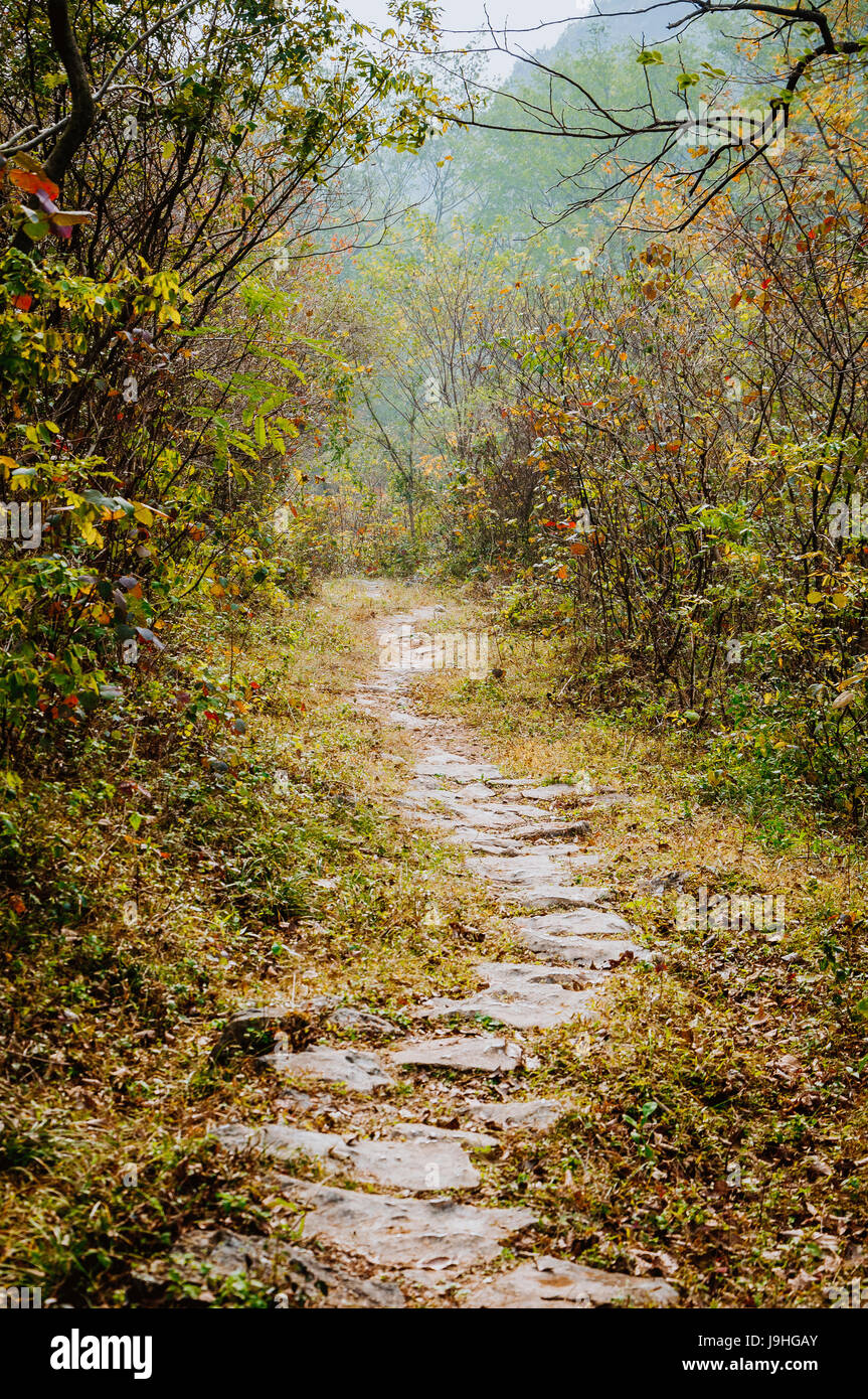 The ancient stone path in the mountain Stock Photo - Alamy