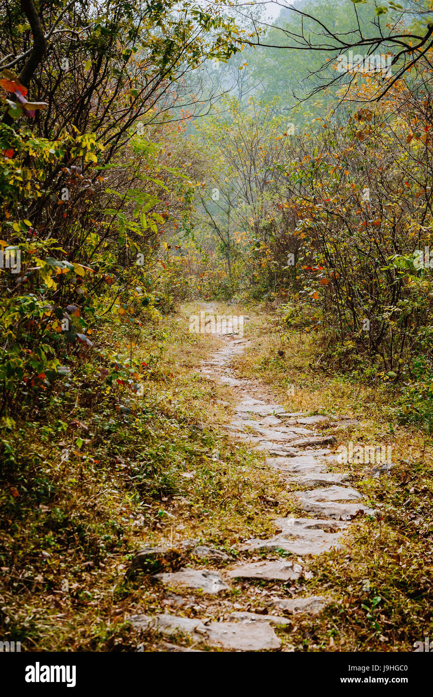 The ancient stone path in the mountain Stock Photo - Alamy