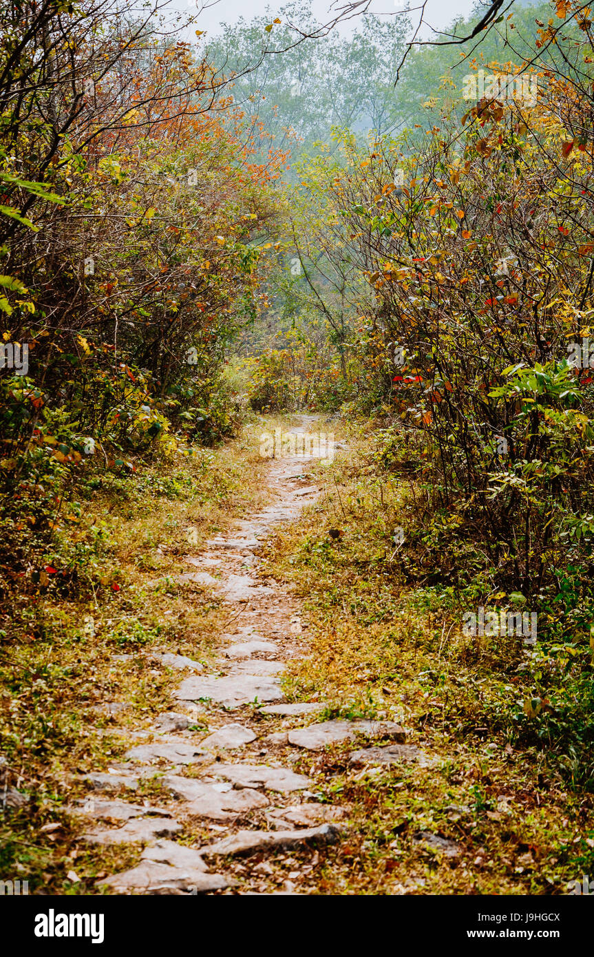 The ancient stone path in the mountain Stock Photo - Alamy