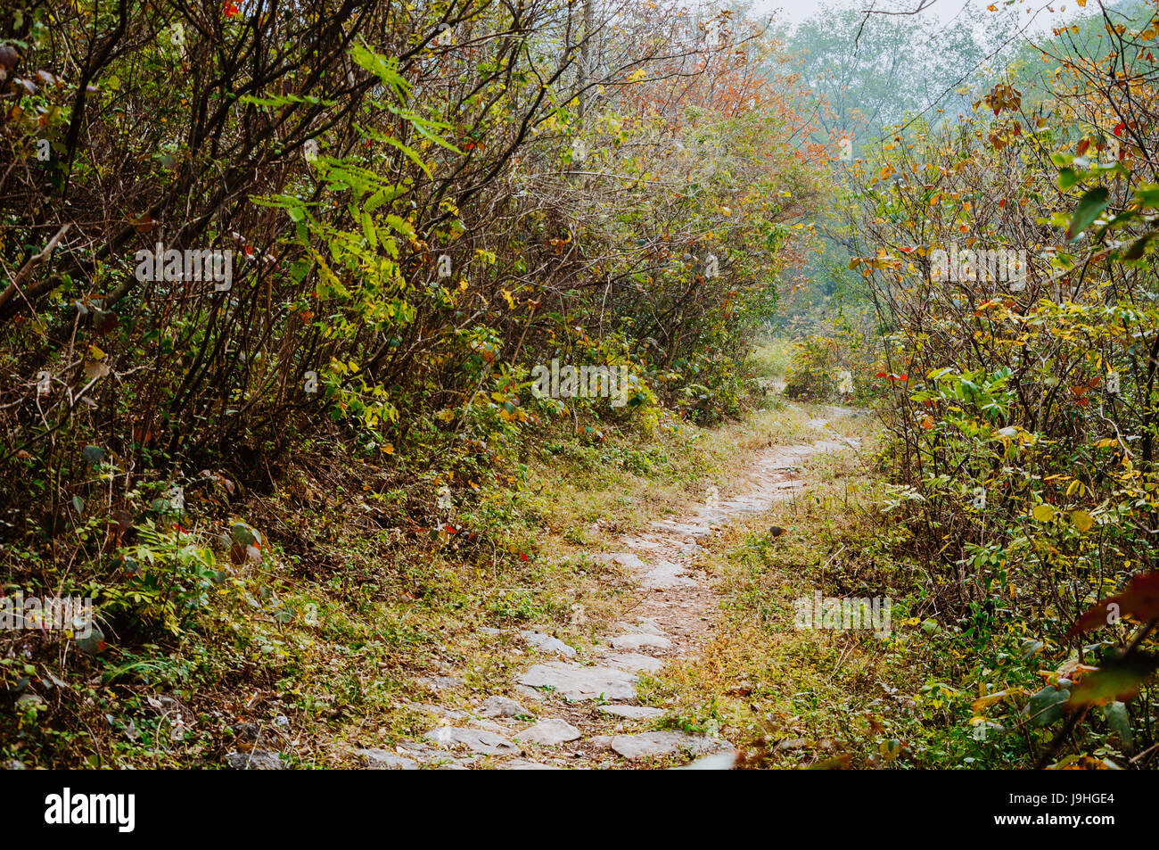 The ancient stone path in the mountain Stock Photo - Alamy