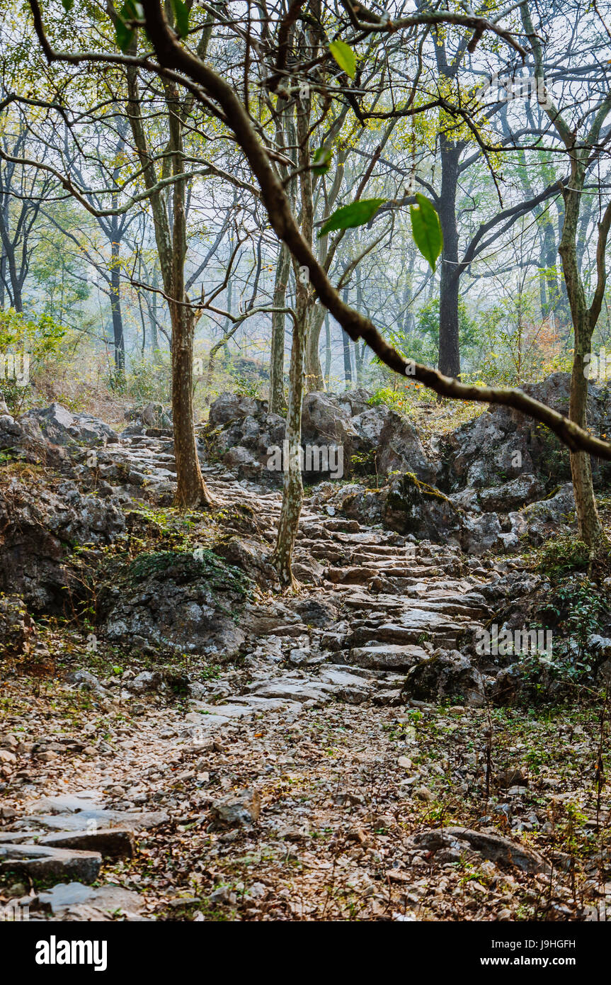 The ancient stone path in the mountain Stock Photo - Alamy