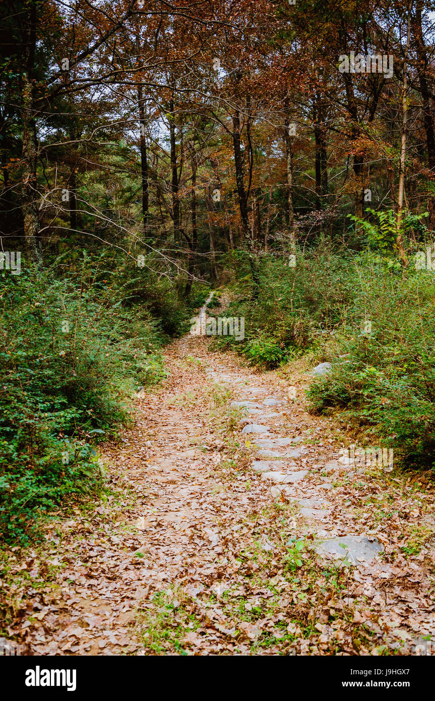 The ancient stone path in the mountain Stock Photo - Alamy