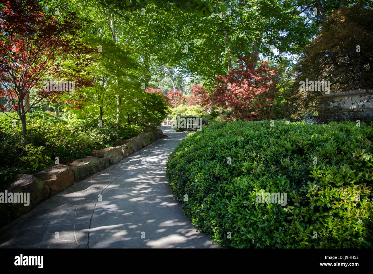 Texas, Dallas Arboretum and Botanical Garden Stock Photo - Alamy