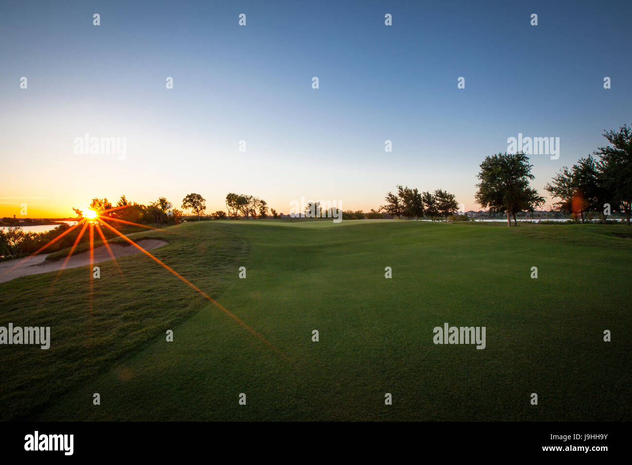 Dallas trees club hi-res stock photography and images - Alamy