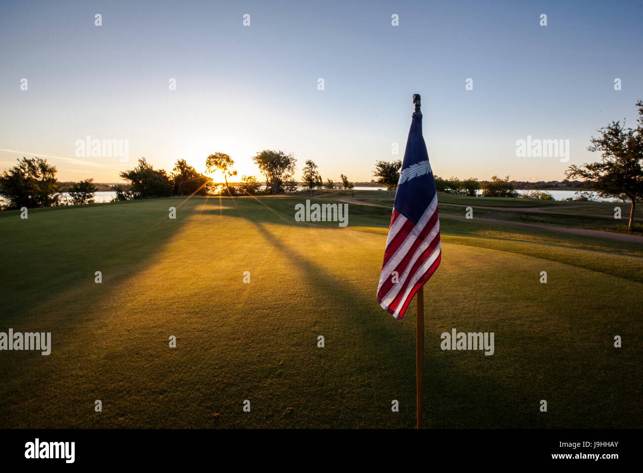 Dallas trees club hi-res stock photography and images - Alamy