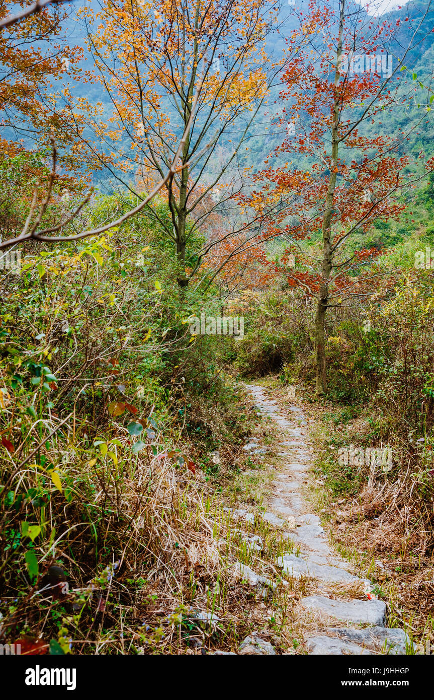 The ancient stone path in the mountain Stock Photo - Alamy
