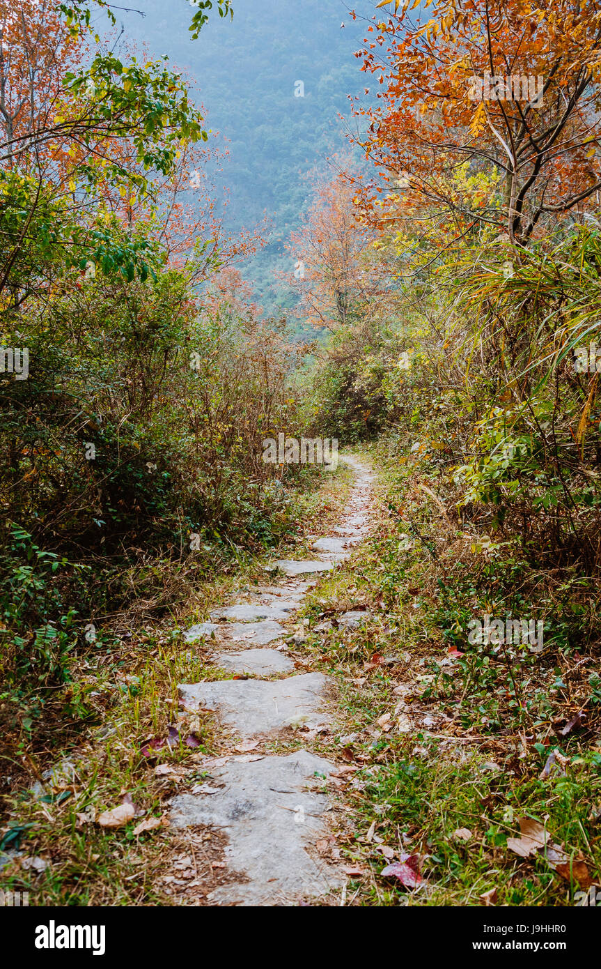 The ancient stone path in the mountain Stock Photo - Alamy