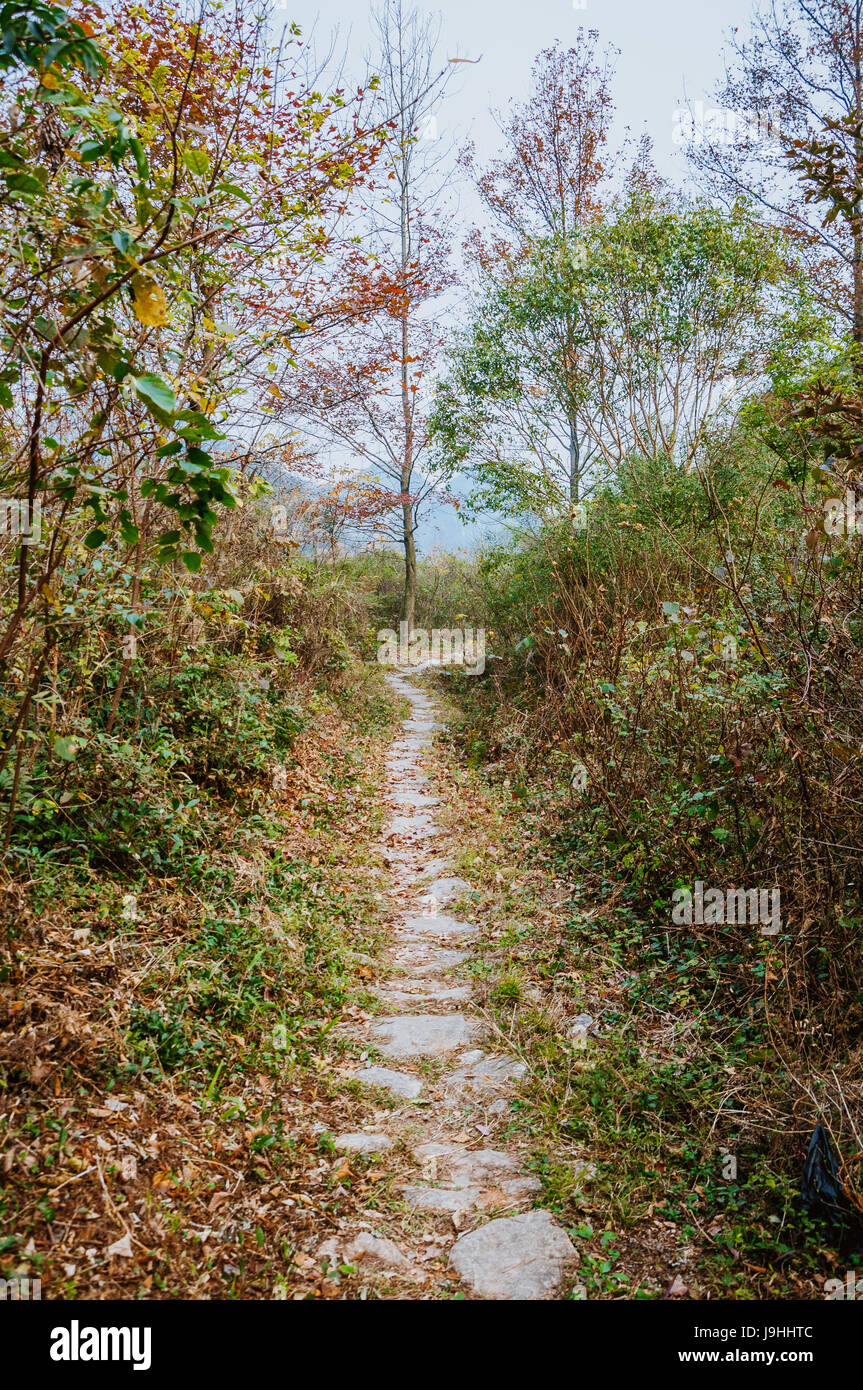 The ancient stone path in the mountain Stock Photo - Alamy