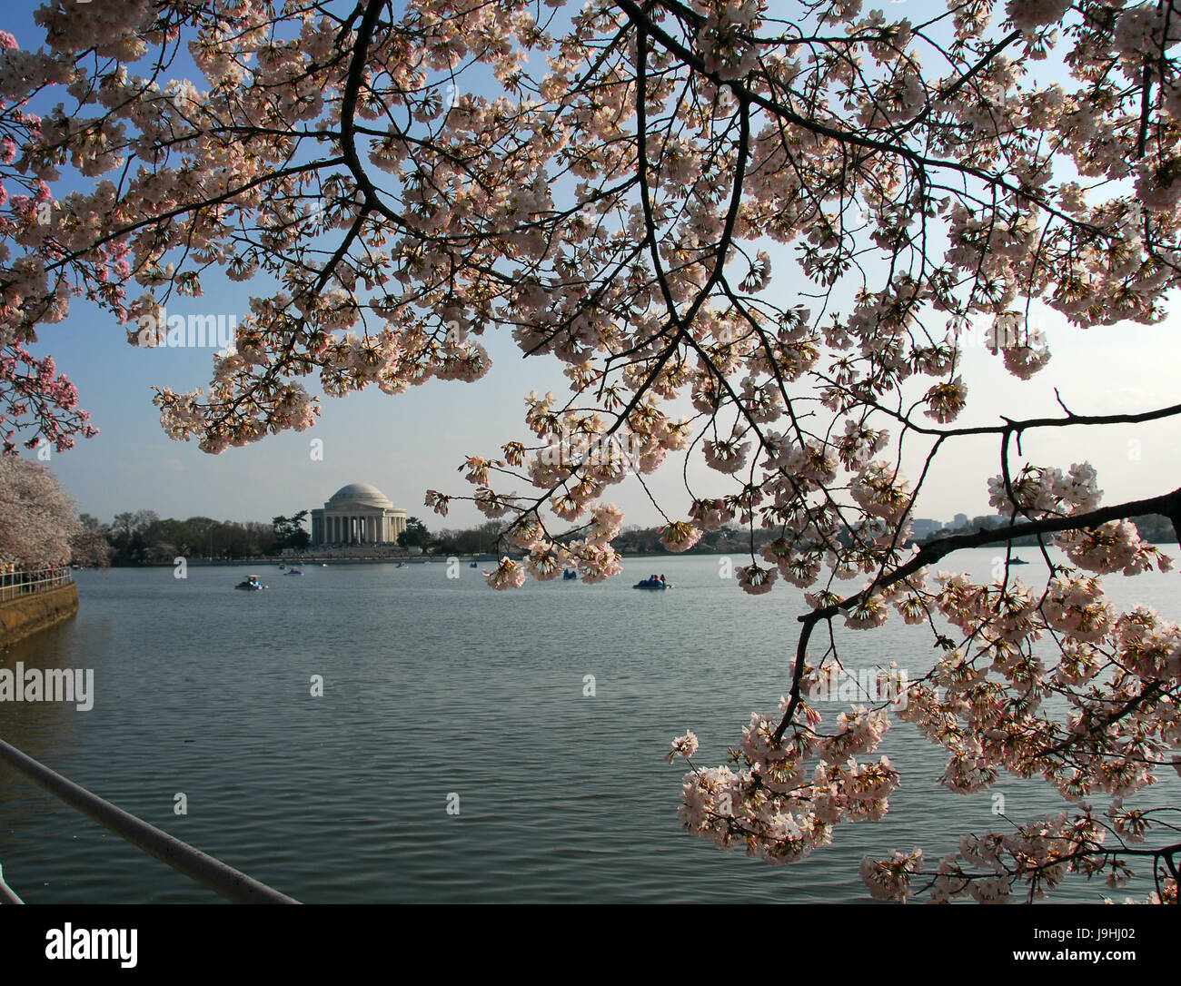 tower, travel, memorial, flower, plant, bloom, blossom, flourish ...