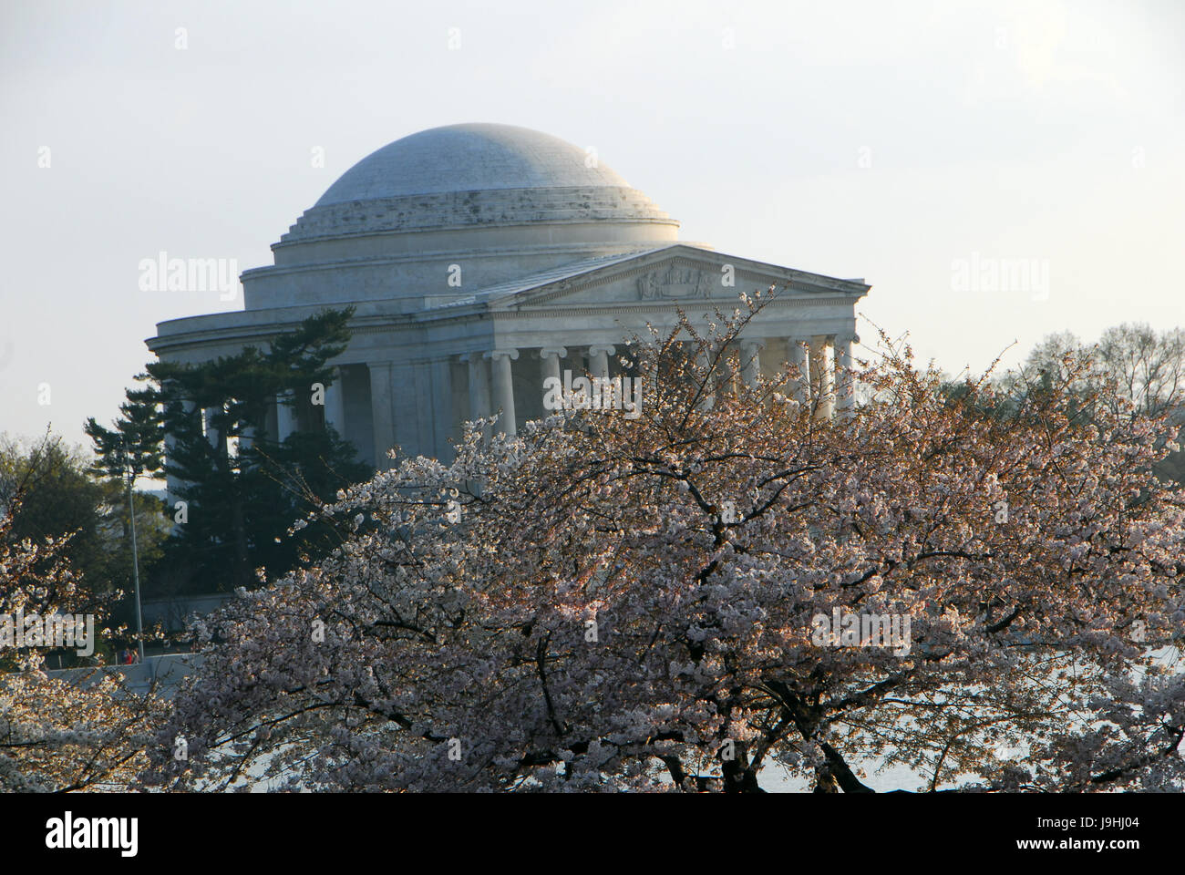 tower, travel, memorial, flower, plant, bloom, blossom, flourish ...