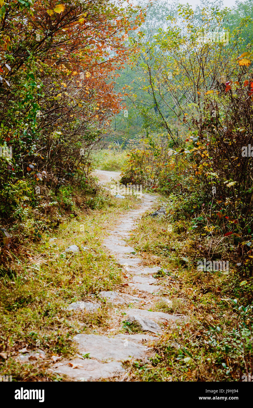 The ancient stone path in the mountain Stock Photo - Alamy