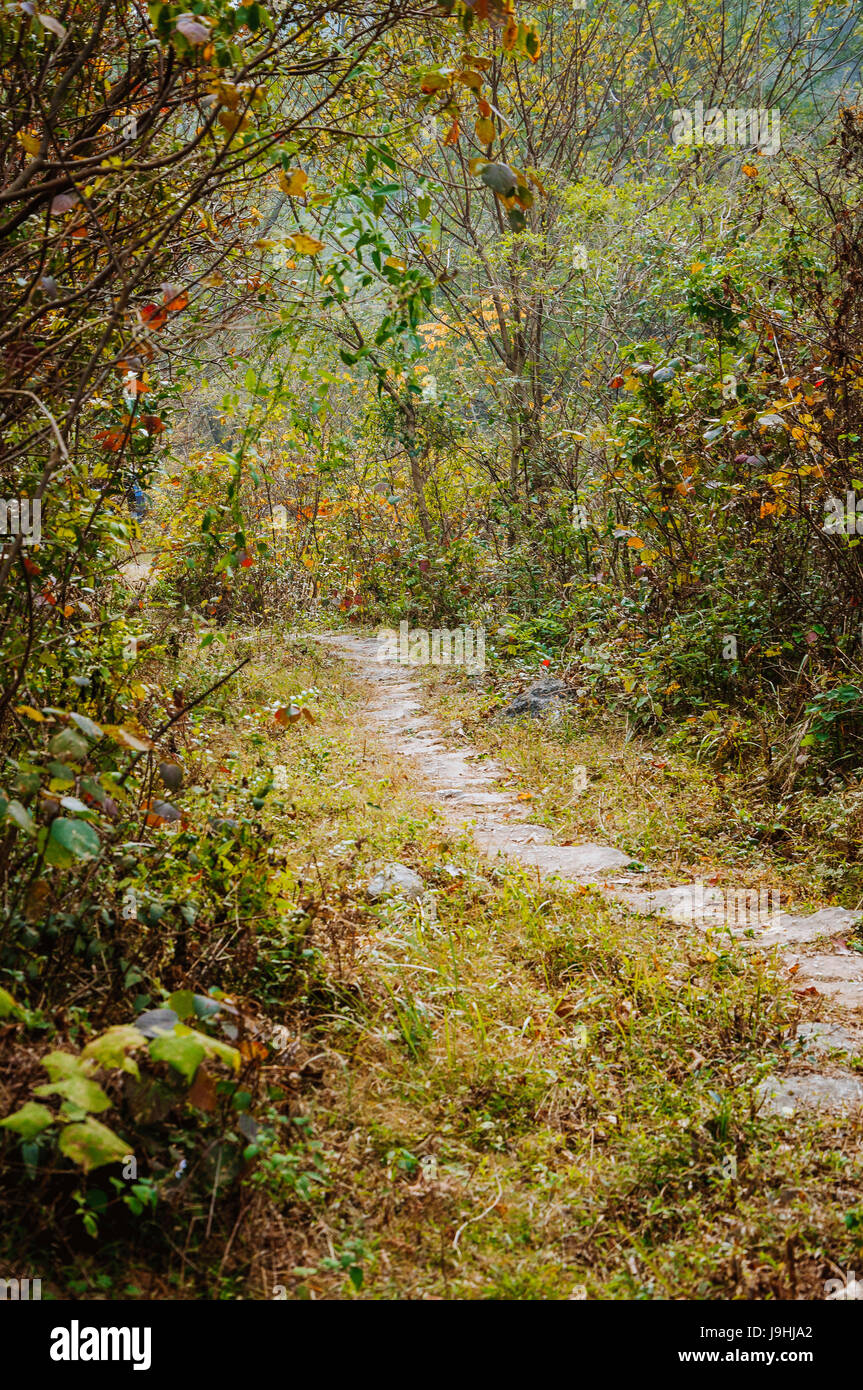 The ancient stone path in the mountain Stock Photo - Alamy