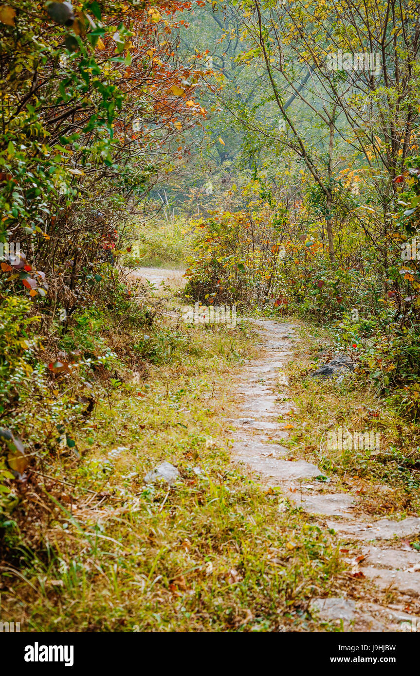 The ancient stone path in the mountain Stock Photo - Alamy