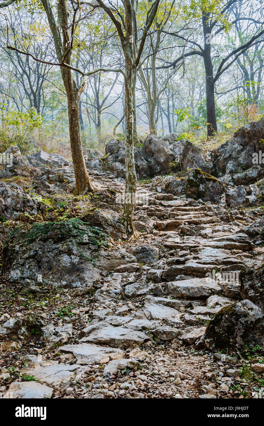 The ancient stone path in the mountain Stock Photo - Alamy