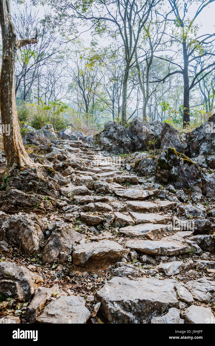 The ancient stone path in the mountain Stock Photo - Alamy