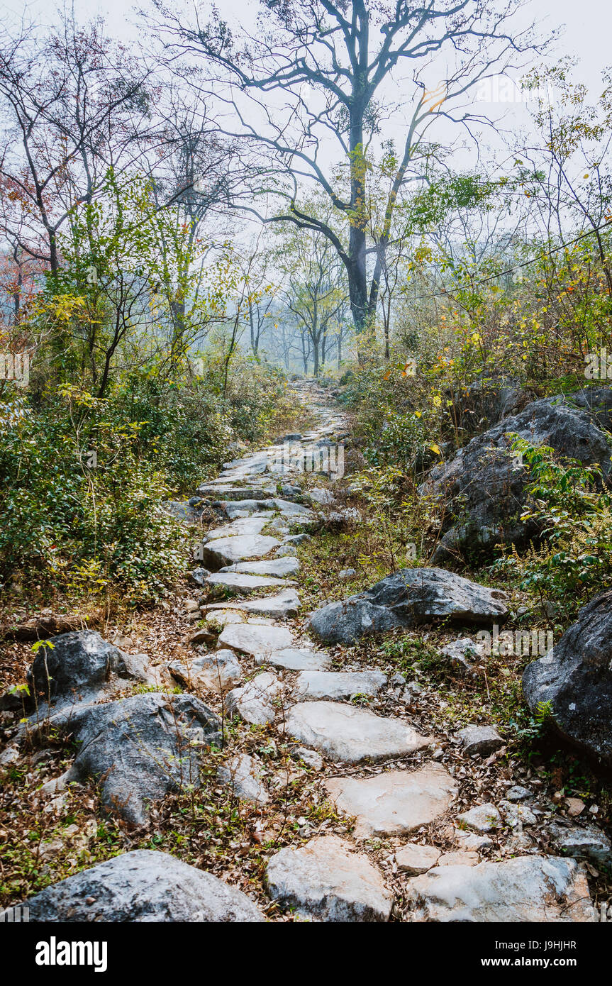 The ancient stone path in the mountain Stock Photo - Alamy