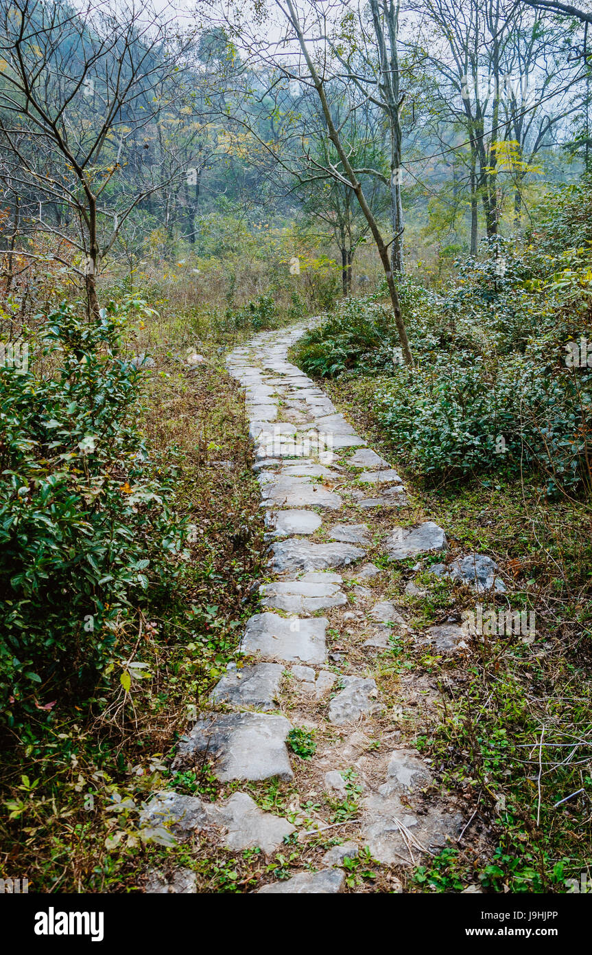 The ancient stone path in the mountain Stock Photo - Alamy