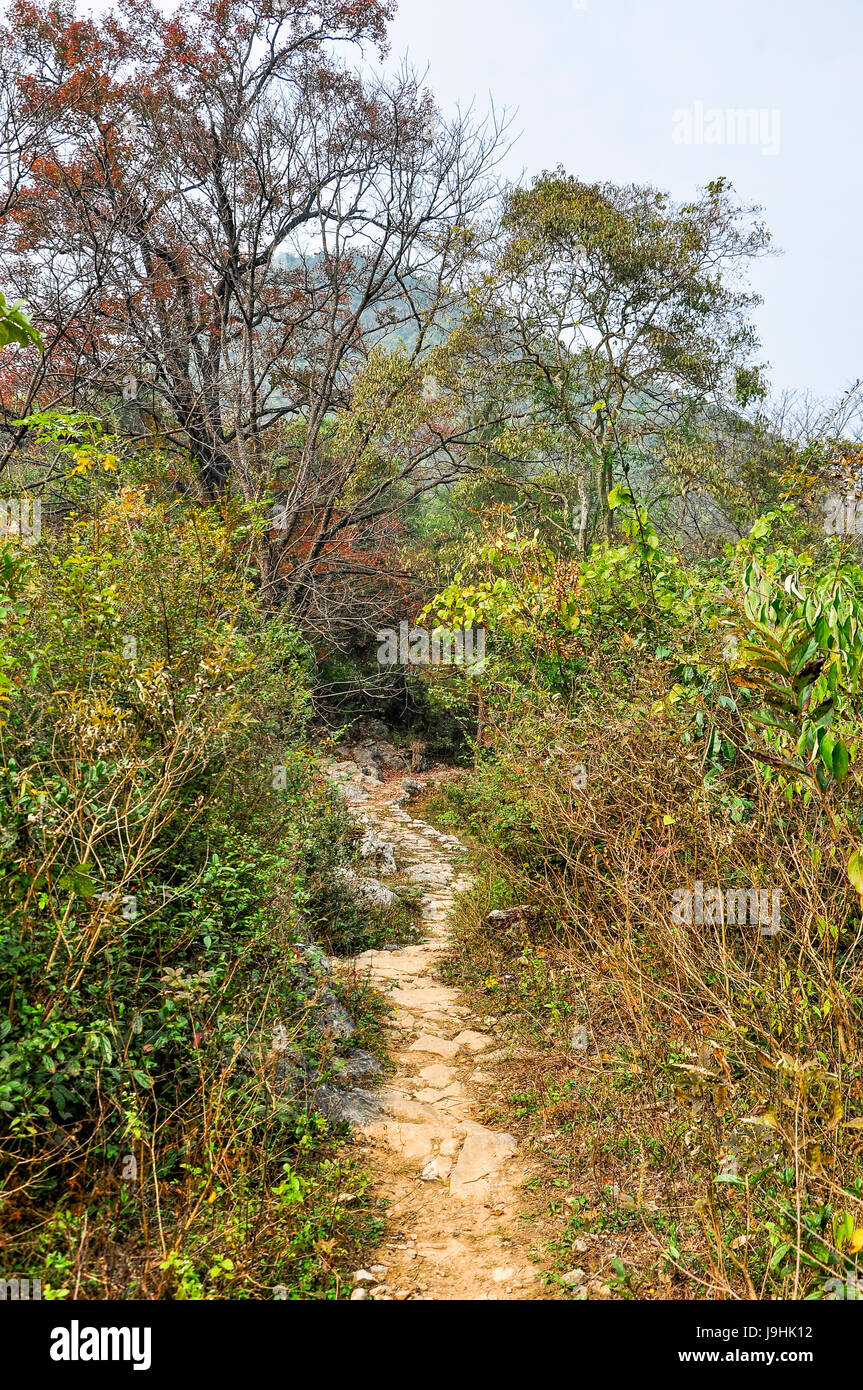 The ancient stone path in the mountain Stock Photo - Alamy