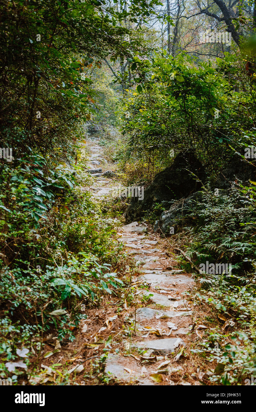 The ancient stone path in the mountain Stock Photo - Alamy