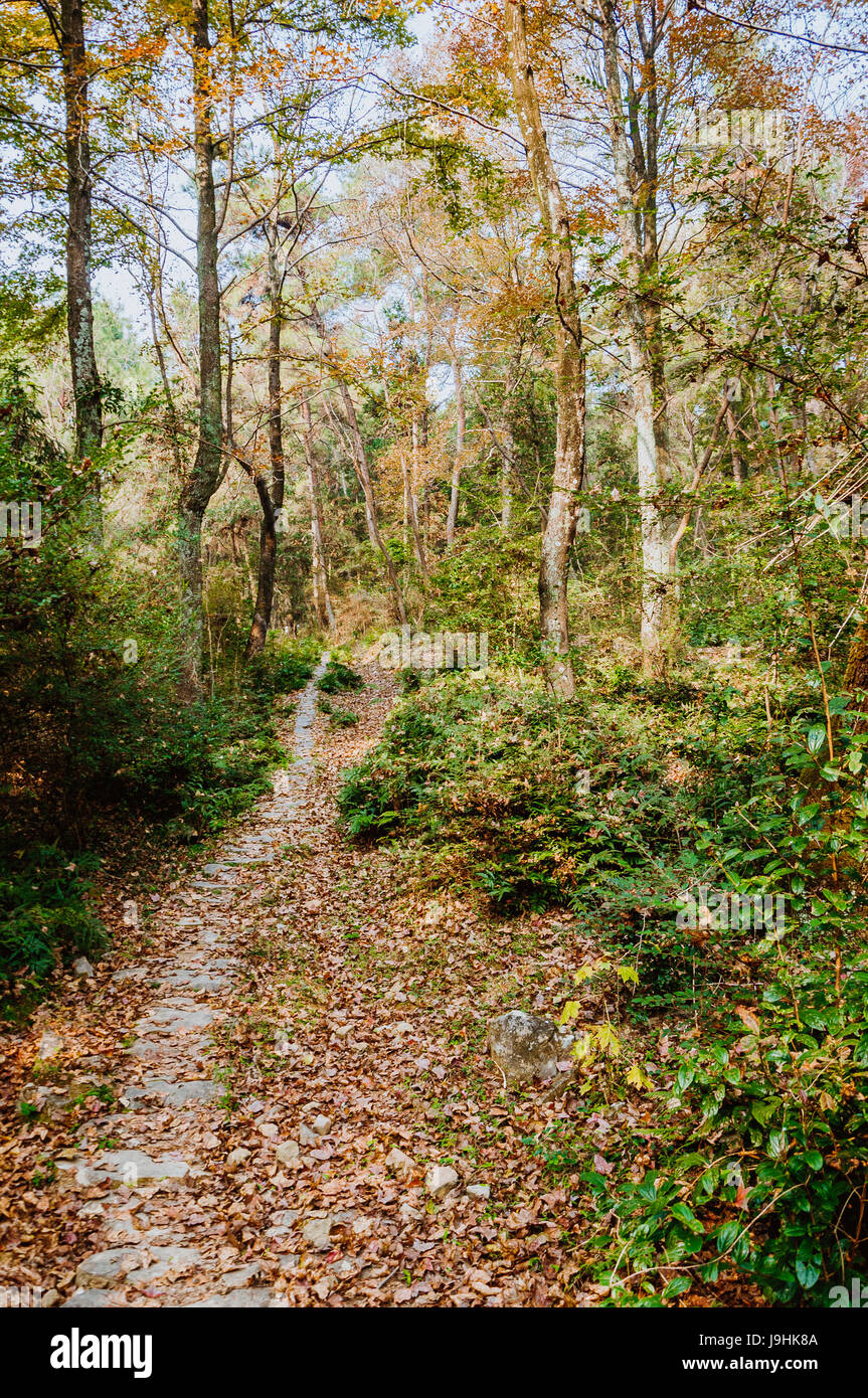 The ancient stone path in the mountain Stock Photo - Alamy