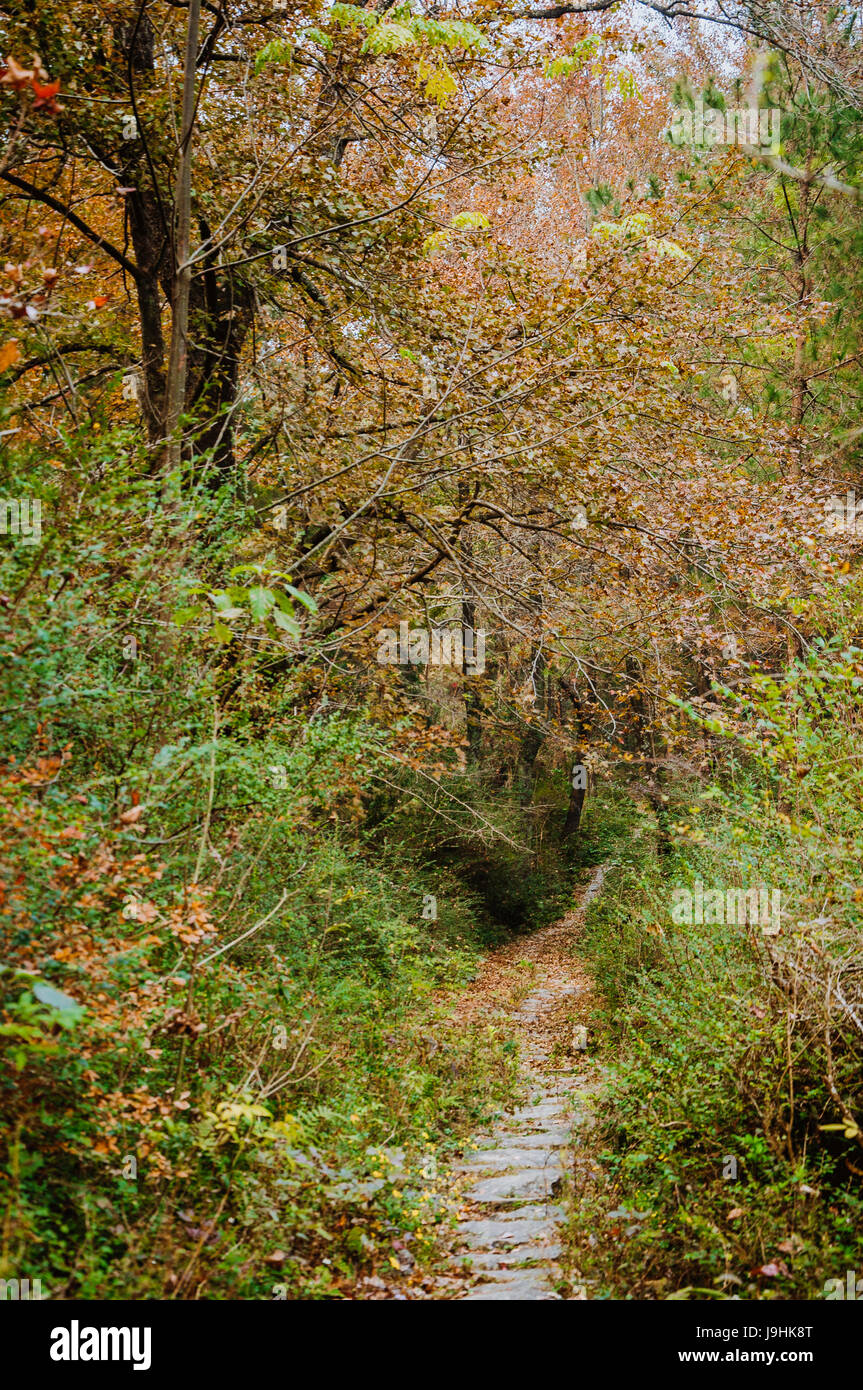 The ancient stone path in the mountain Stock Photo - Alamy