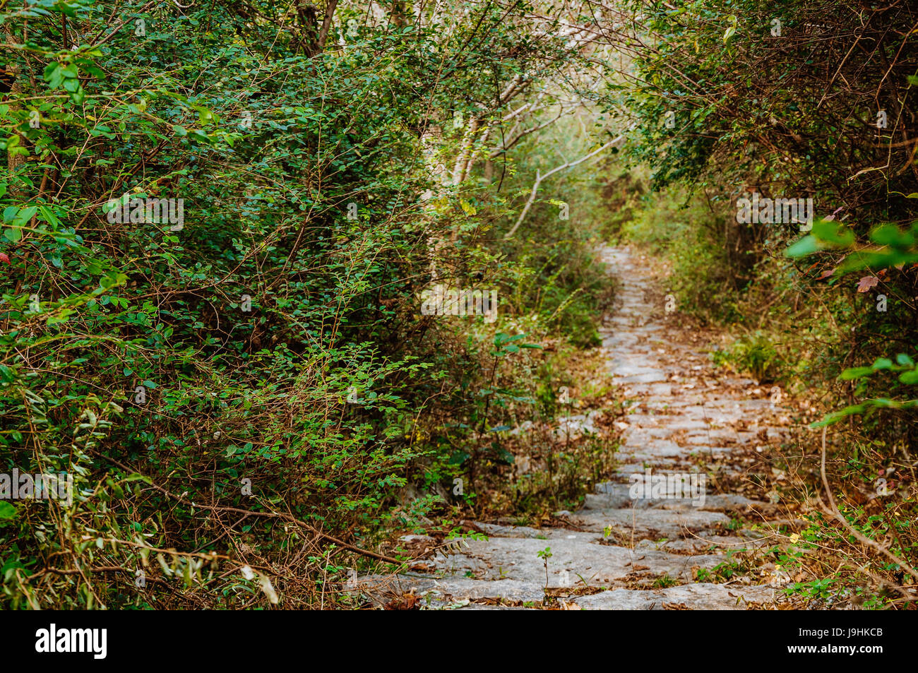 The ancient stone path in the mountain Stock Photo - Alamy