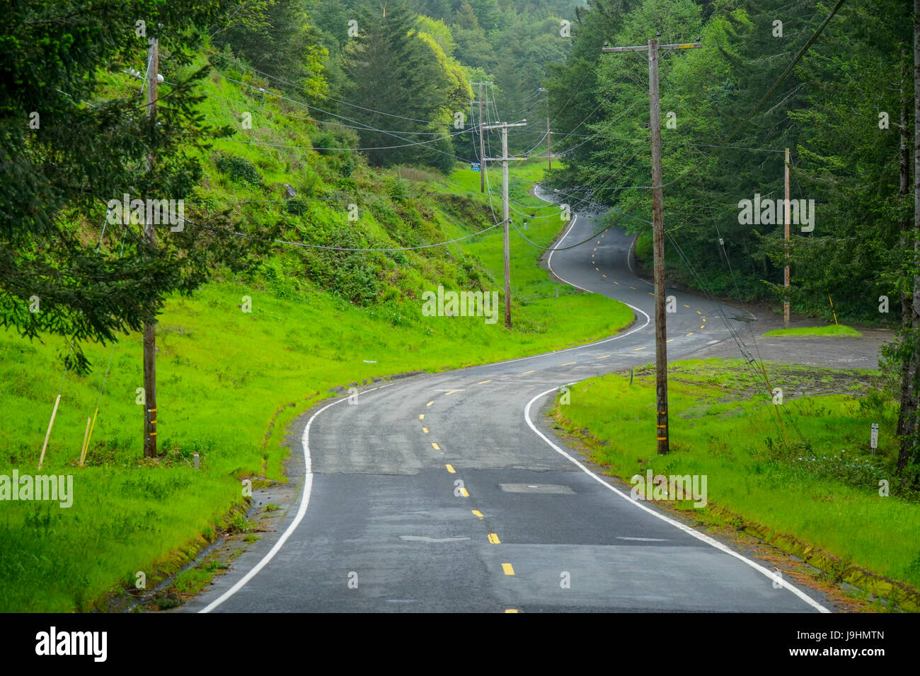 The beautiful woods and nature of Oregon Stock Photo - Alamy