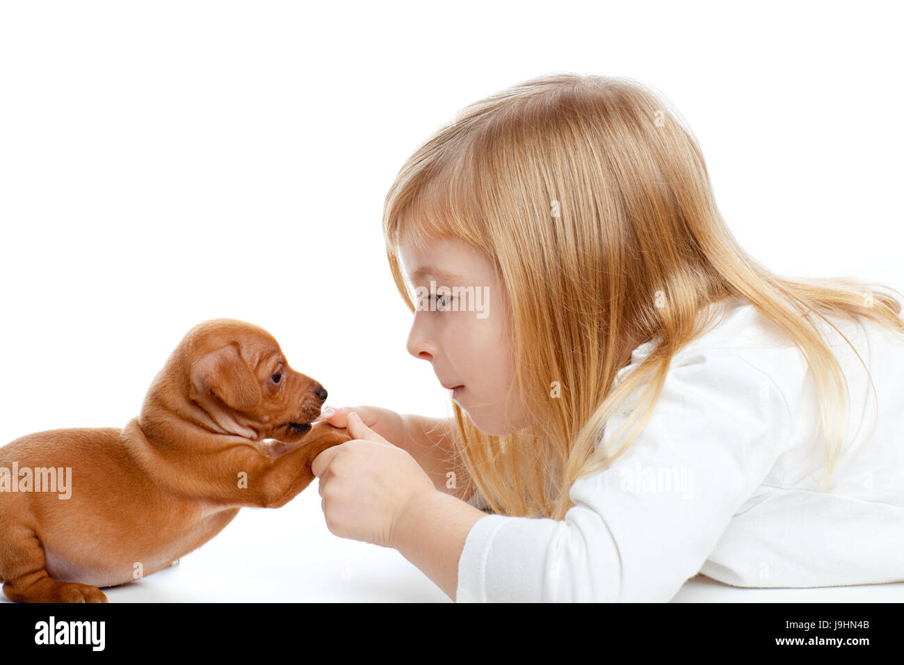 profile, humans, human beings, people, folk, persons, human, human ...