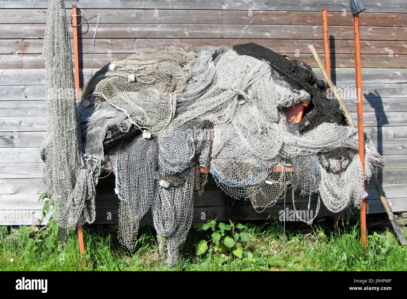 angle, fish, net, fishing, fisherman, networked, fishing net, green ...