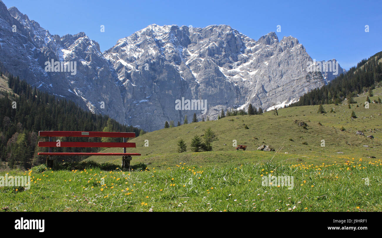 alps, conservation of nature, natural preserve, tyrol, protected ...