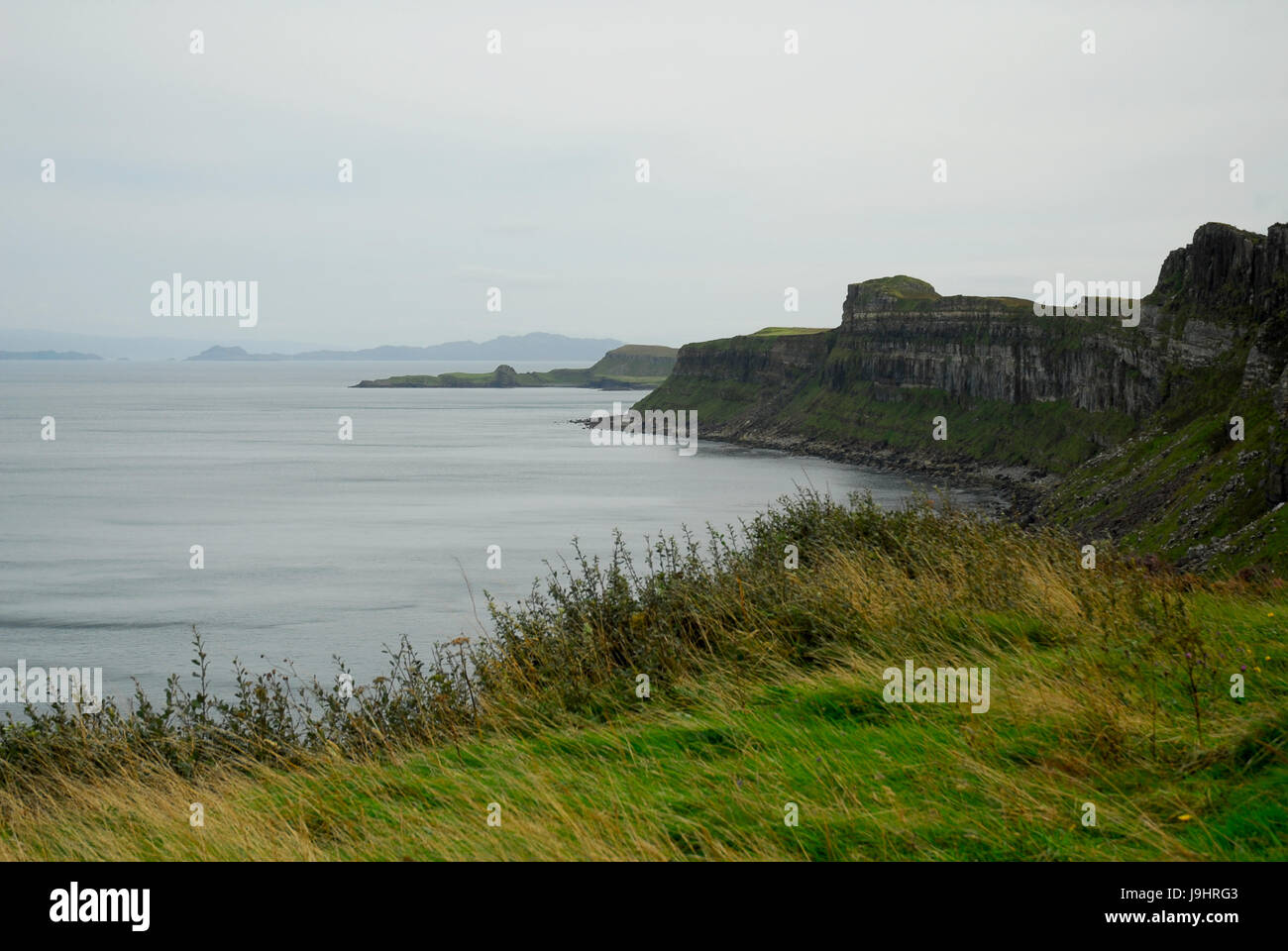 plant, rock, waterfall, coast, salt water, sea, ocean, water, isle ...
