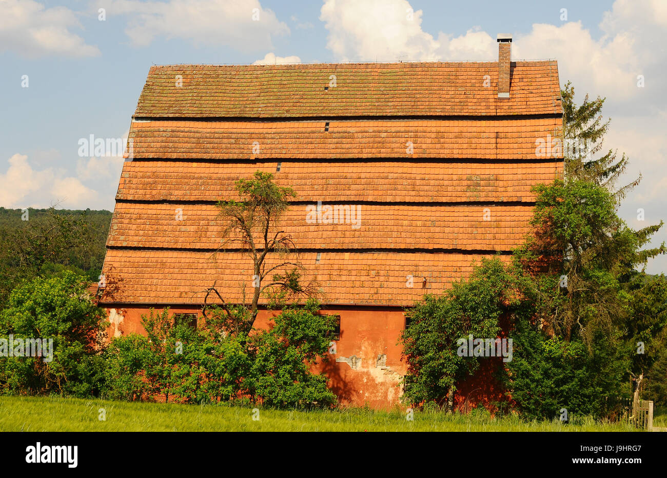 house, building, beer, hop, crack, fissure, buildings, house, building ...