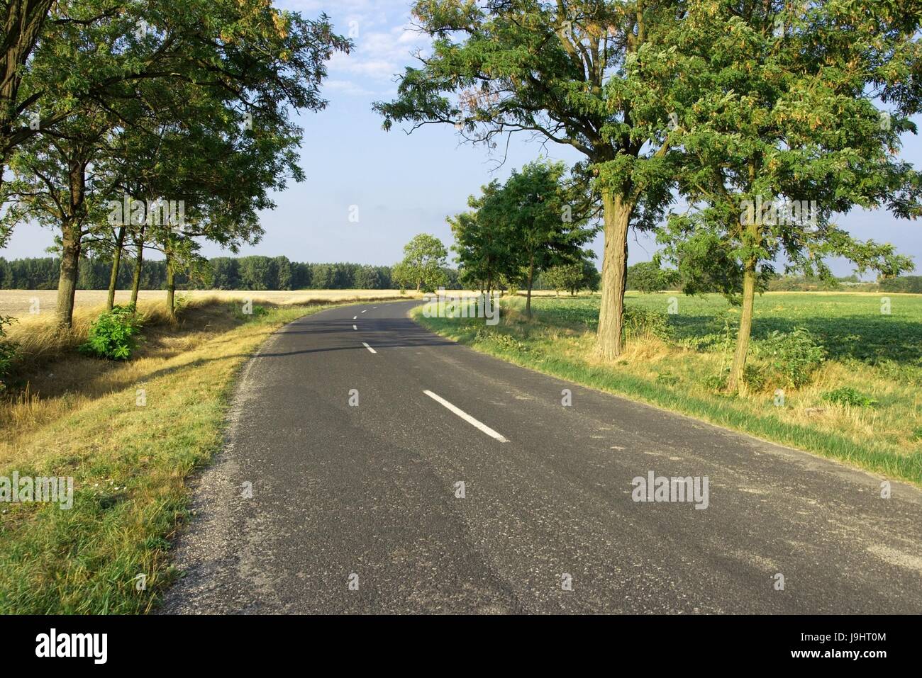 turn, twirl, field, asphalt, bend, motorway, highway, right, claim ...