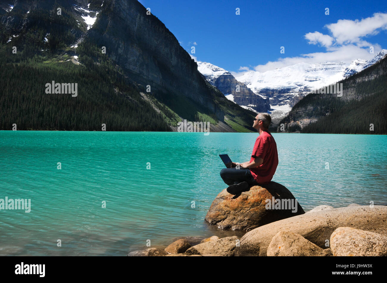 laptop, notebook, computers, computer, environment, enviroment, park ...