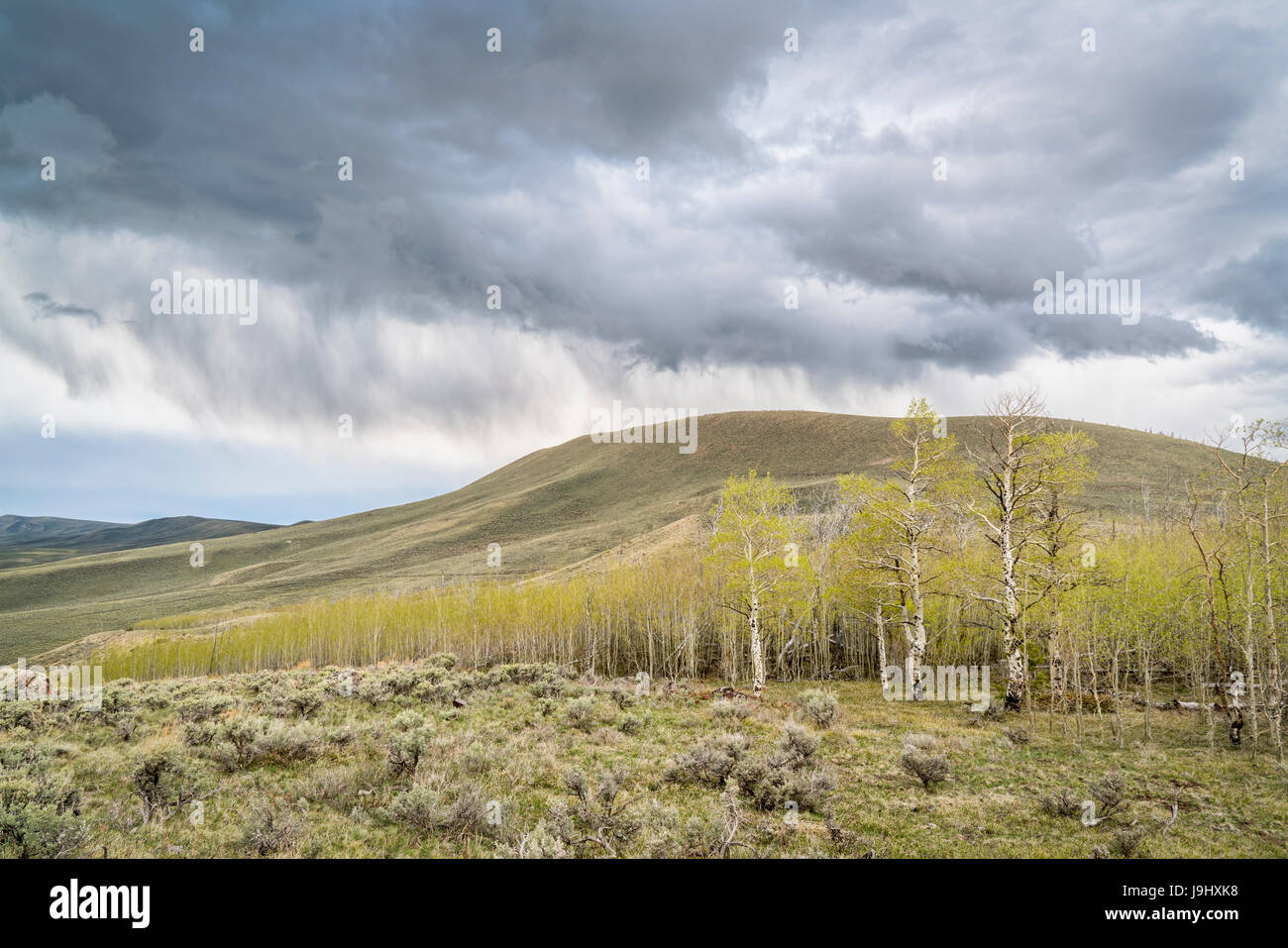 rain and storm clouds over aspen grove in North Park in Colorado ...