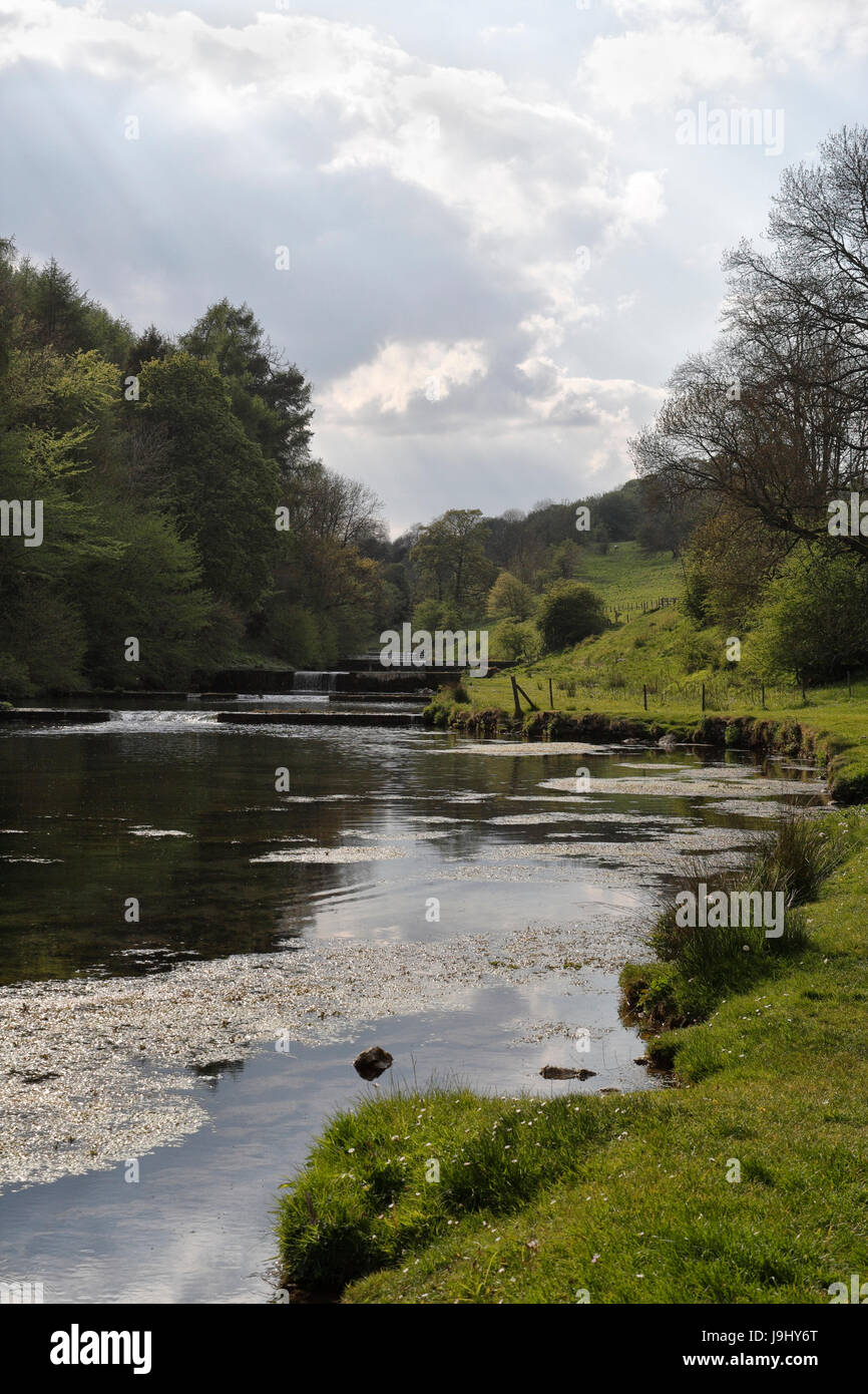 River Lathkill in Derbyshire Peak District England UK Stock Photo - Alamy