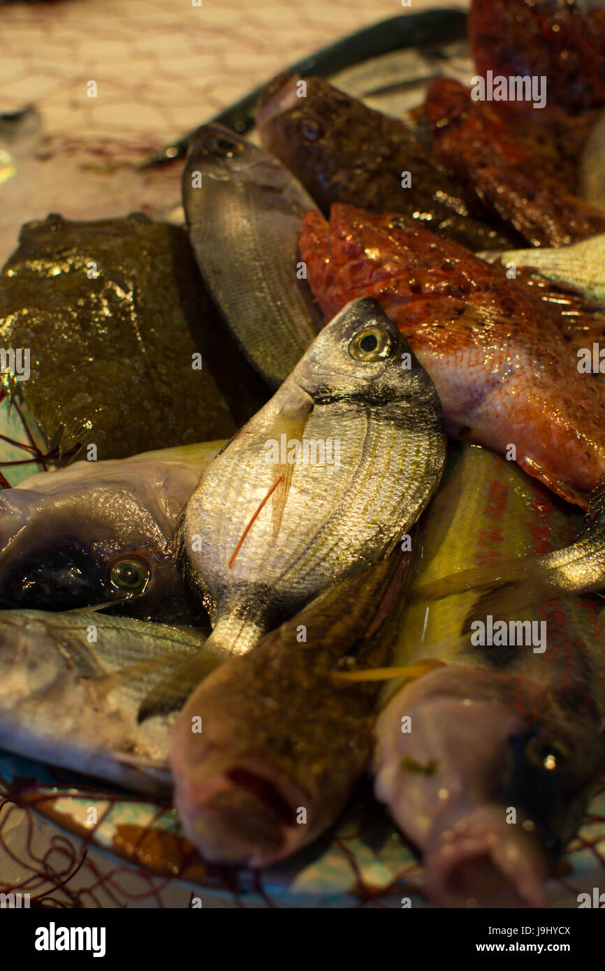 Сatch of fresh raw fish from Aegean sea, Sicily, Italy, ready to cook ...