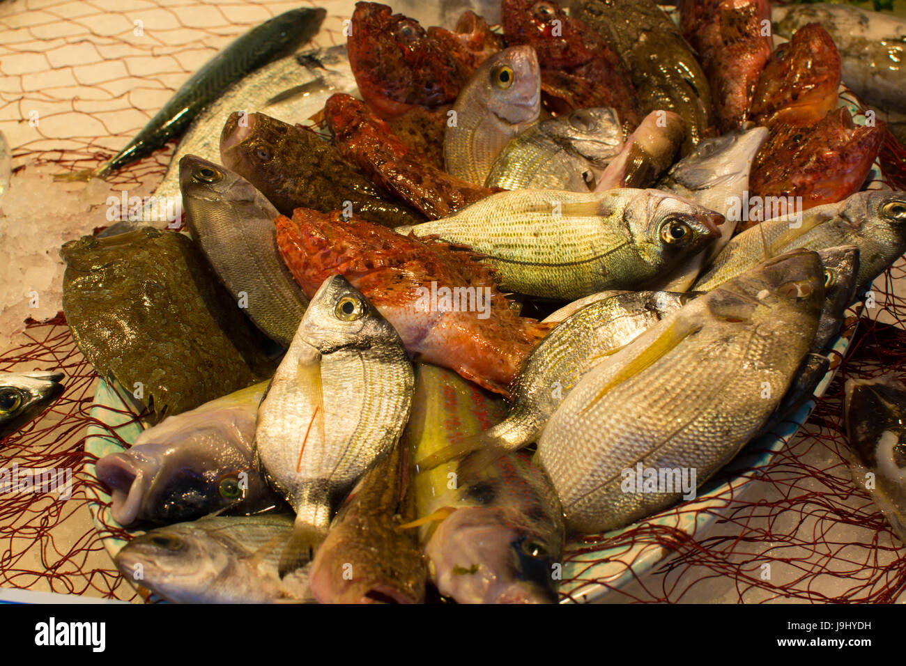 Сatch of fresh raw fish from Aegean sea, Sicily, Italy, ready to cook ...
