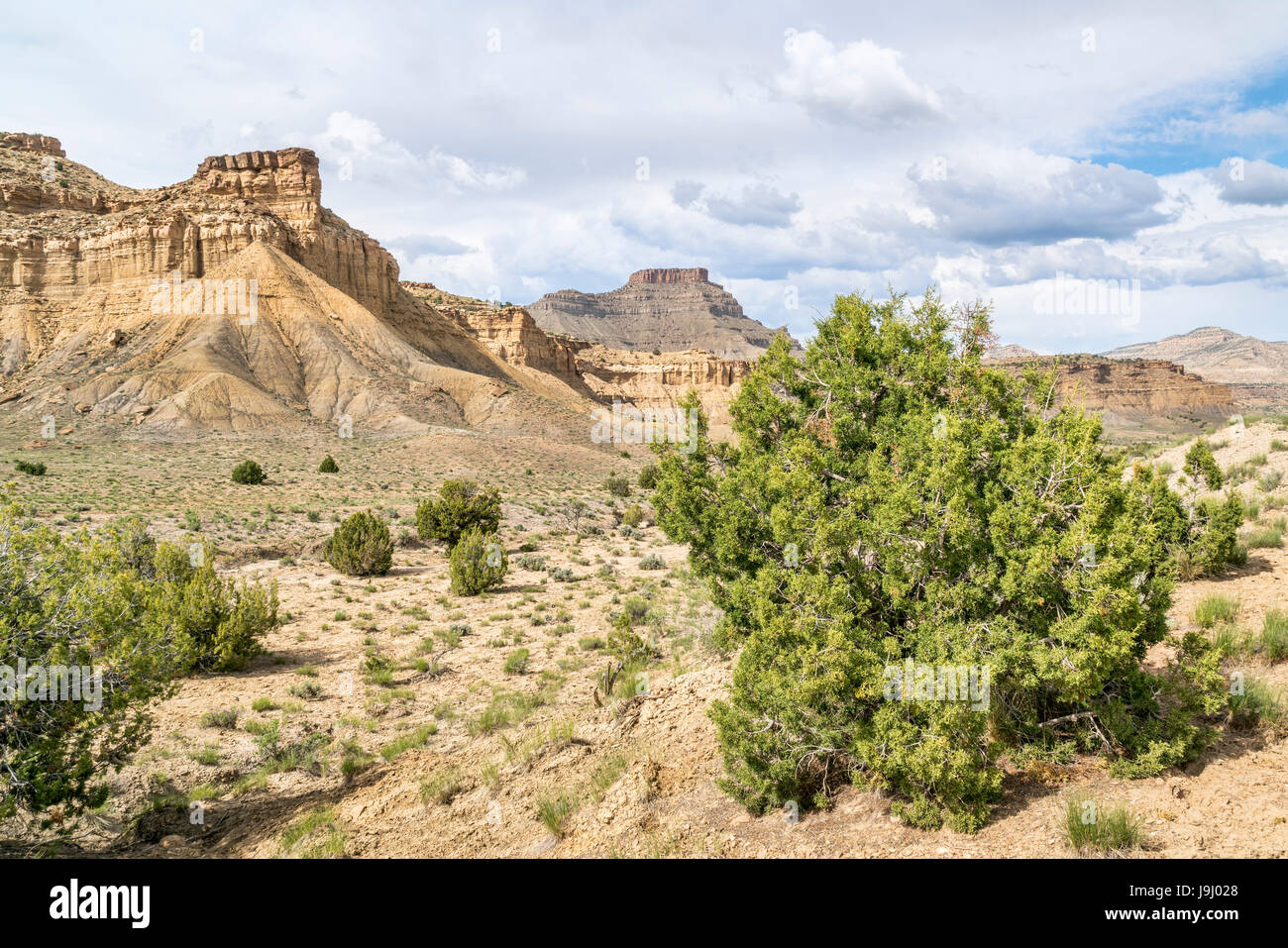 Book Cliffs - desert landscape of eastern Utah with a cliff, buttes and ...